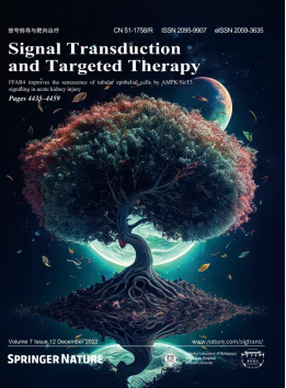 我校华西医院马良、付平团队在急性肾损伤靶向治疗领域取得进展-四川大学 Sichuan University