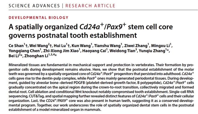 生命科学学院李中瀚、空军军医大学李蓓等合作揭示Cd24a+和Pax9+双层牙源干细胞中心介导了牙齿出生后的器官发育过程-四川大学 ...