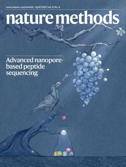 【川观新闻】川大华西团队研究成果登上《nature methods》期刊封面 解码“生命天书” 成功破译蛋白质测序难题-四川大学 ...